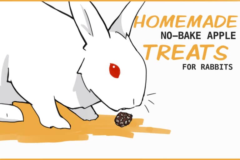 Homemade No-Bake Treats for Rabbits (apple and banana flavor)