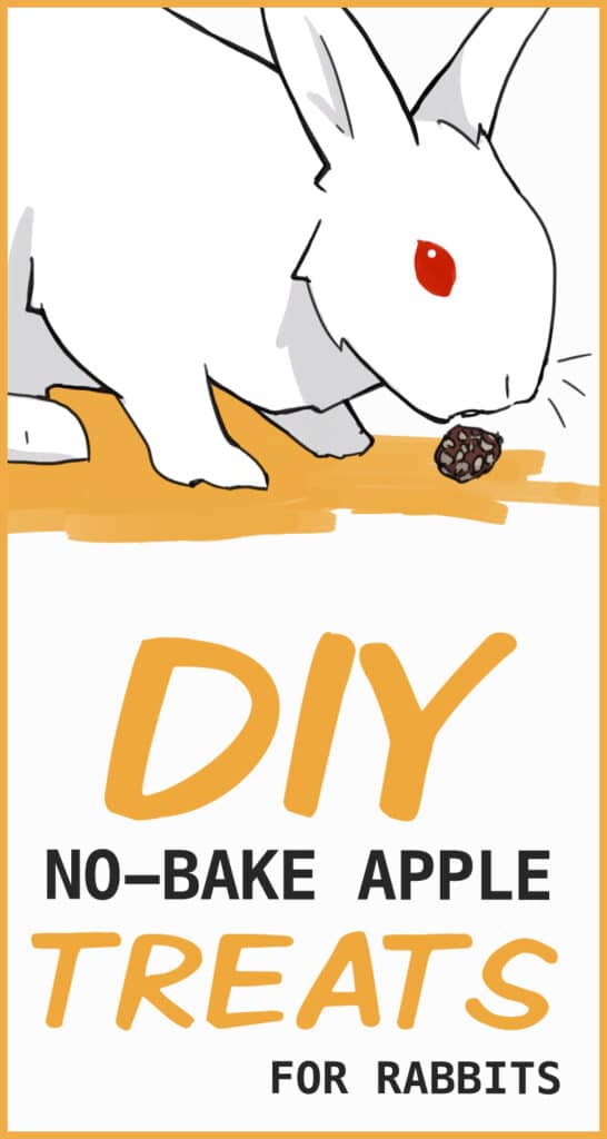 Homemade No-Bake Treats for Rabbits (apple and banana flavor)