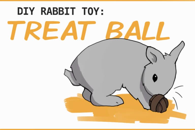 DIY Rabbit Toy: Hidden Treat Ball