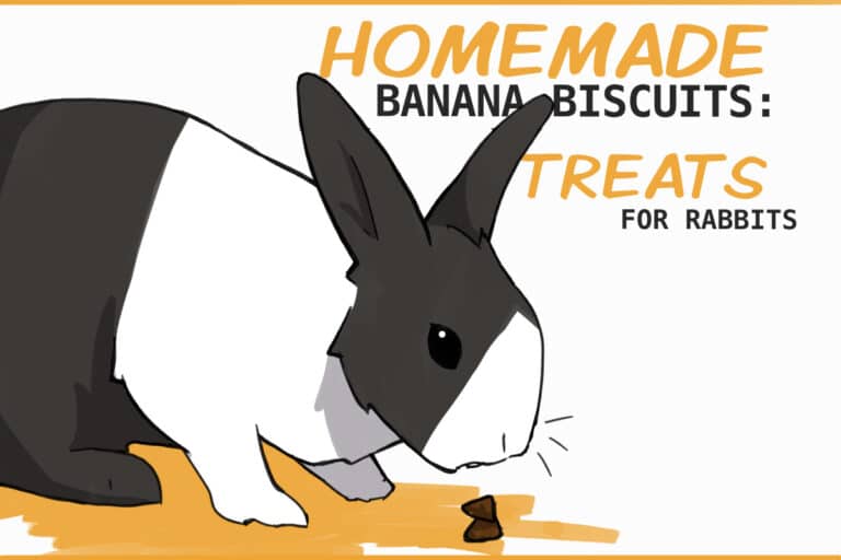 Homemade Banana Biscuit Treats for Rabbits