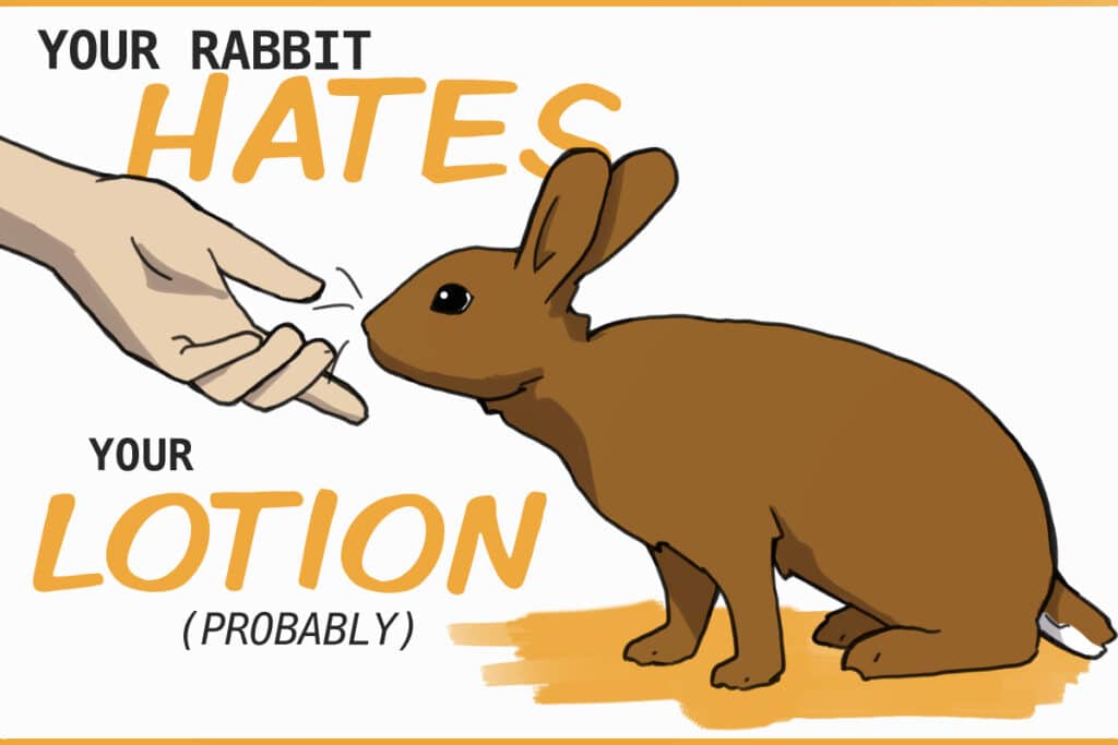 Why Your Lotion Might Be Scaring Away Your Rabbit