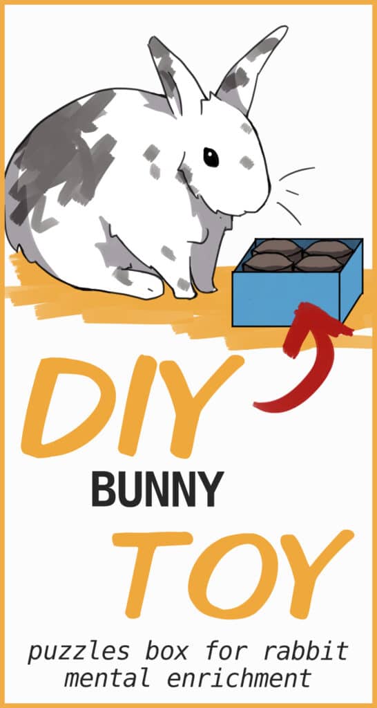DIY Puzzle Toy for Rabbits
