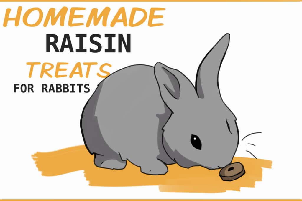 Homemade Hay and Raisin Treats for Rabbits
