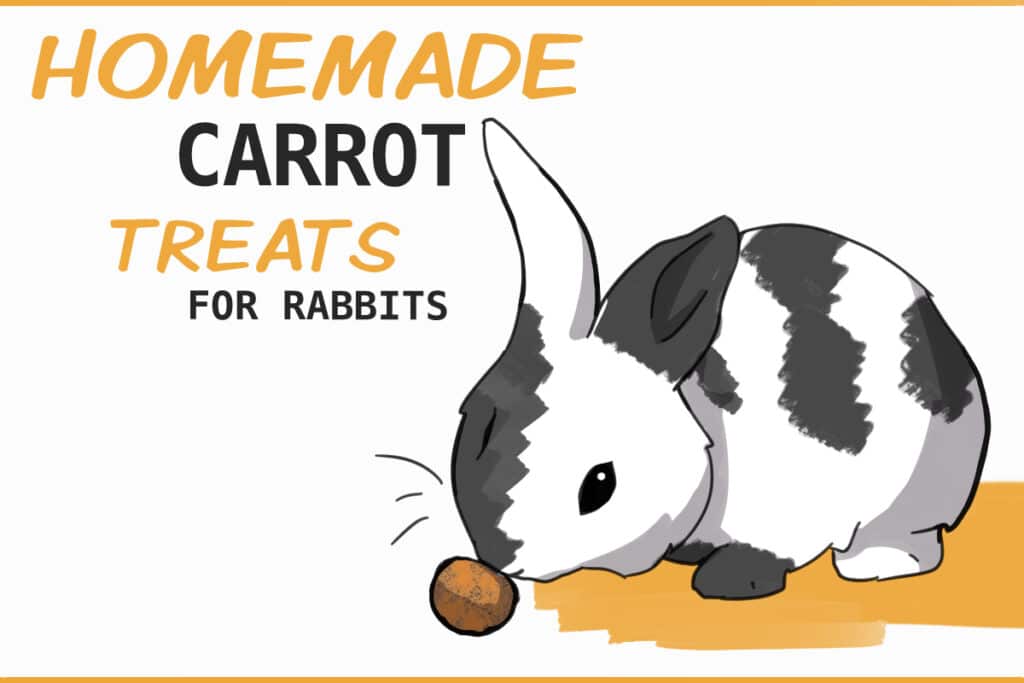 Homemade Baked Carrot Truffle Treats for Rabbits