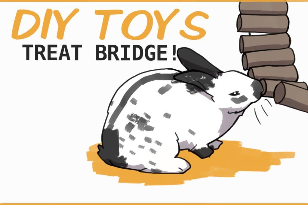 DIY Hanging Treat Bridge Toy for Rabbits