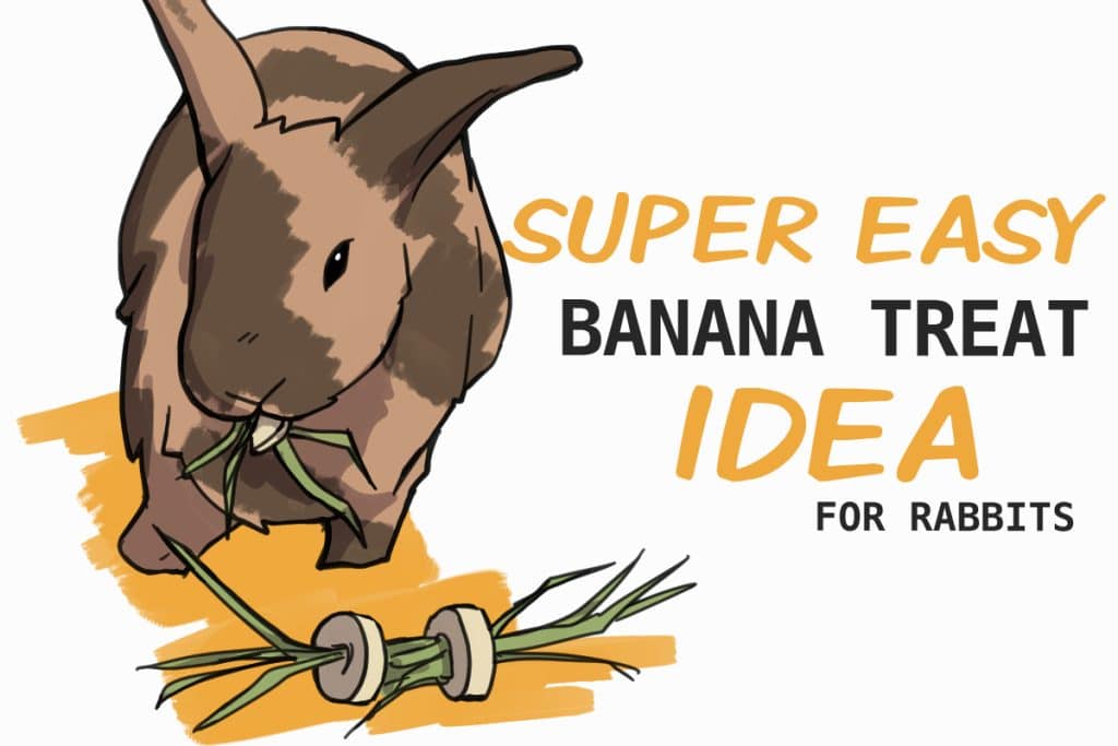 Banana Skewers (SUPER easy homemade rabbit treats)