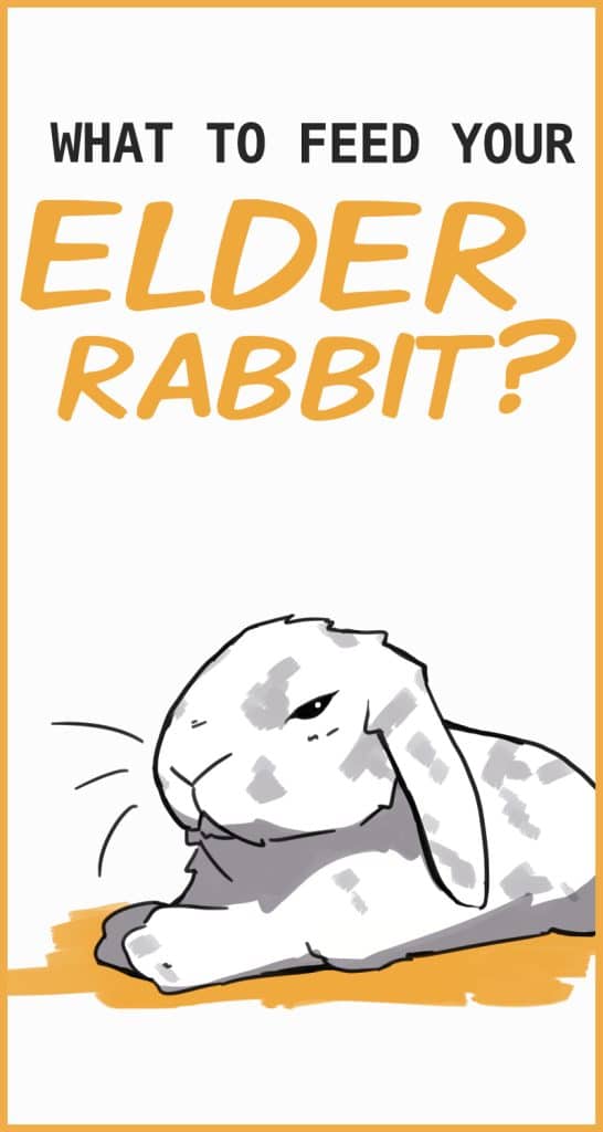 Diet Archives - The Bunny Lady