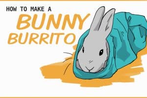 How to Make a Bunny Burrito (step-by-step)(for pet rabbits)
