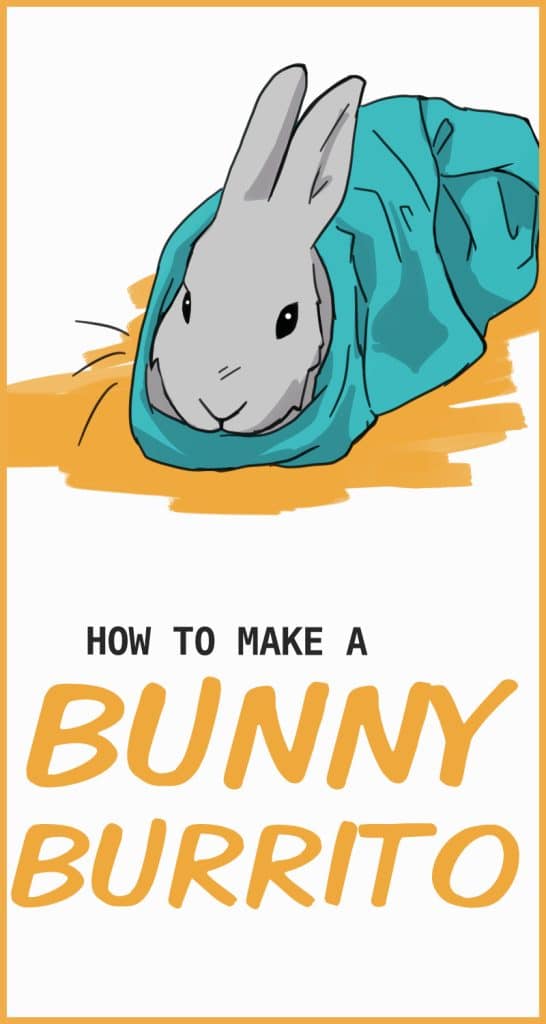 How to Make a Bunny Burrito (step-by-step)(for pet rabbits)