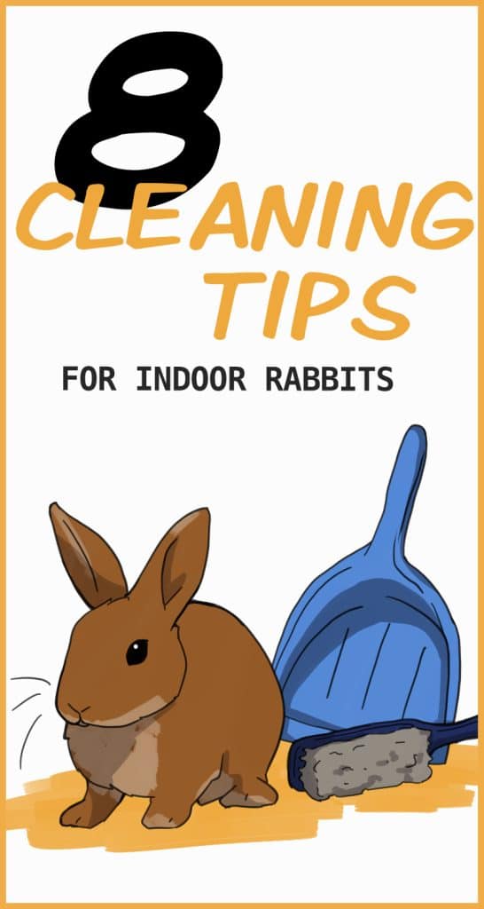 8 Cleaning Tips For Indoor Rabbits