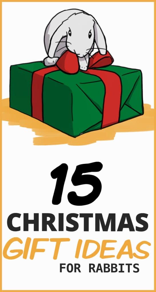 15 Christmas Gift Ideas For Your Rabbit