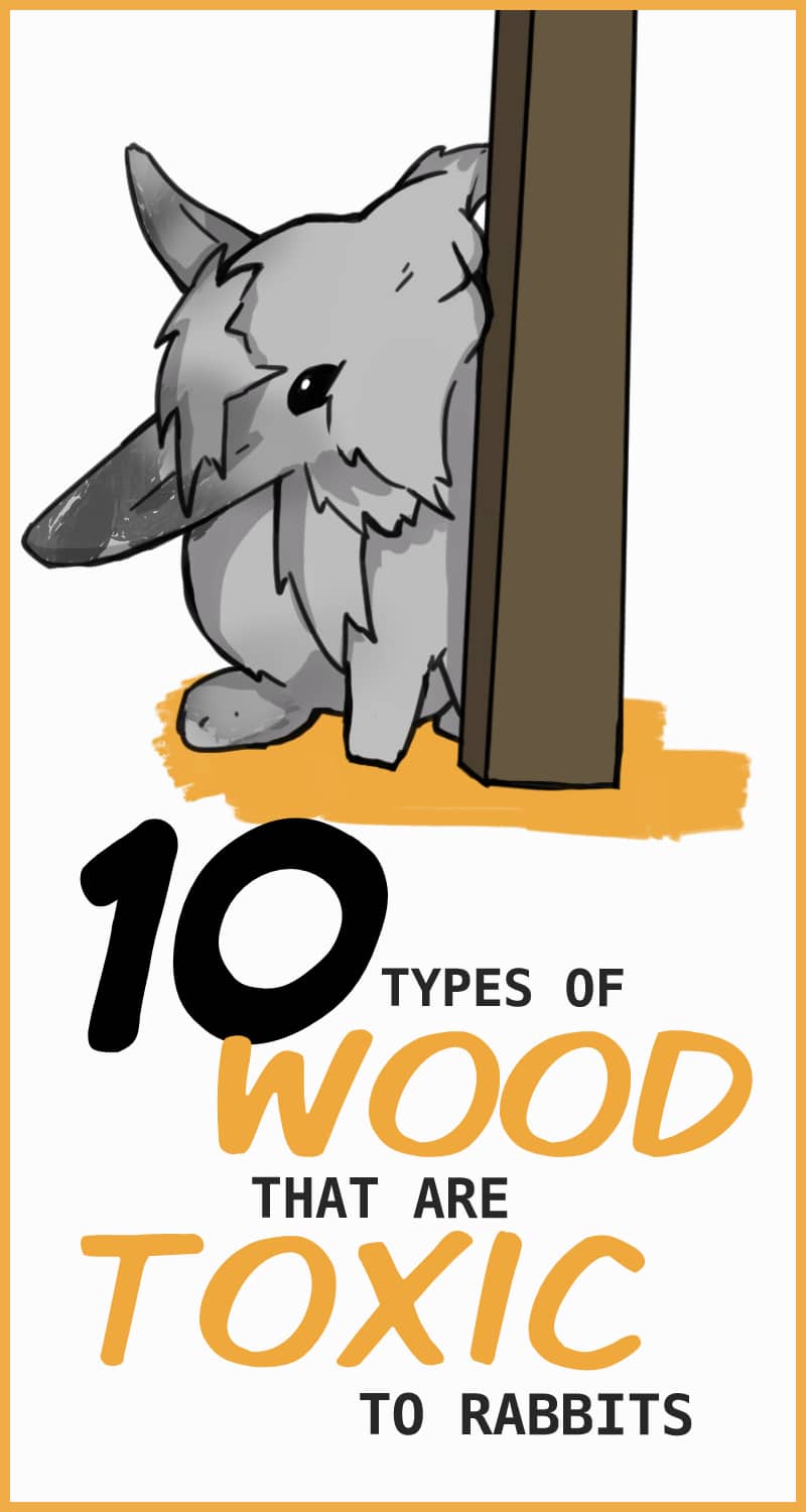 Types of Wood that are Toxic to Rabbits